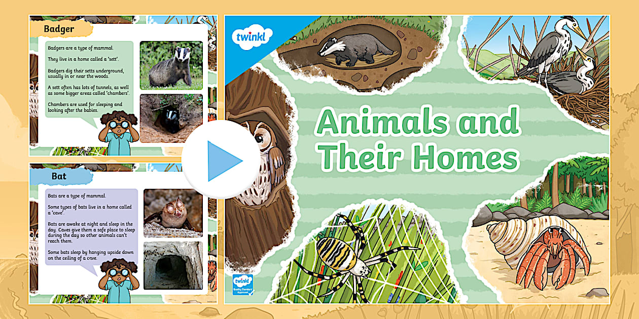 EYFS All About Animals and Their Homes PowerPoint - Twinkl