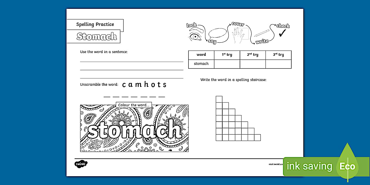 Stomach Spelling Practice Worksheet (teacher made) - Twinkl