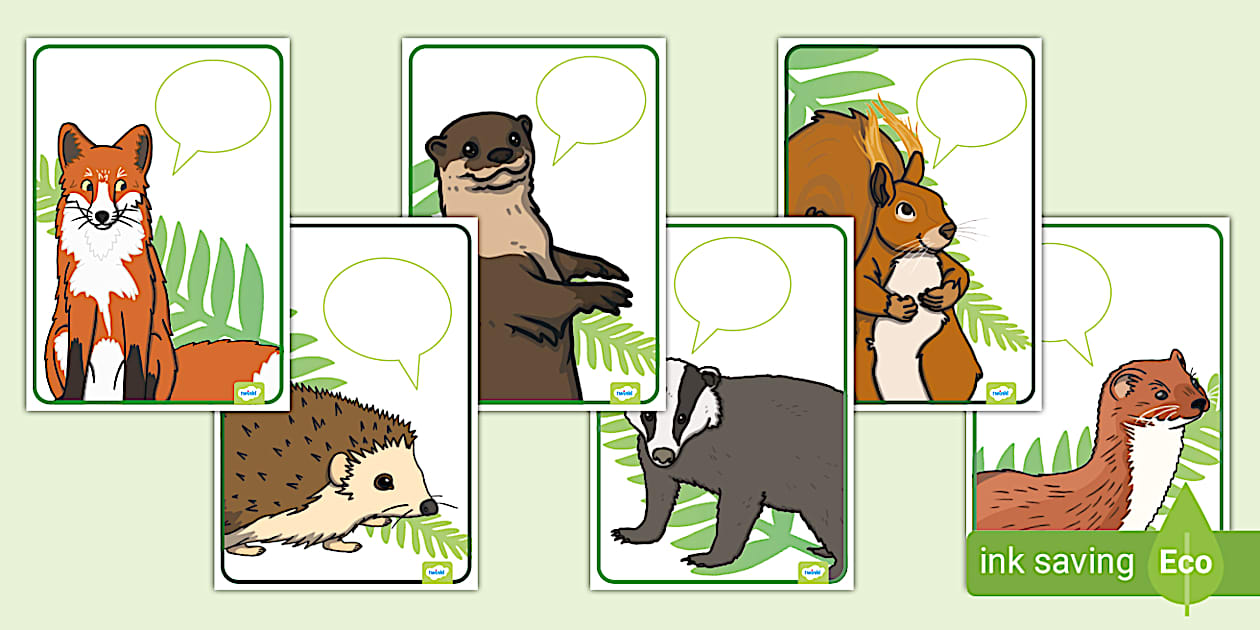 Woodland Creatures Speech Bubble Posters (teacher made)