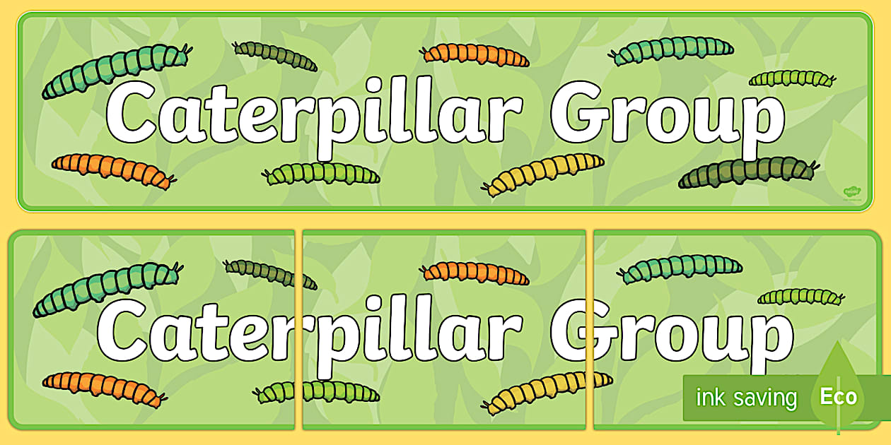 Caterpillar Group Display Banner (teacher made) - Twinkl