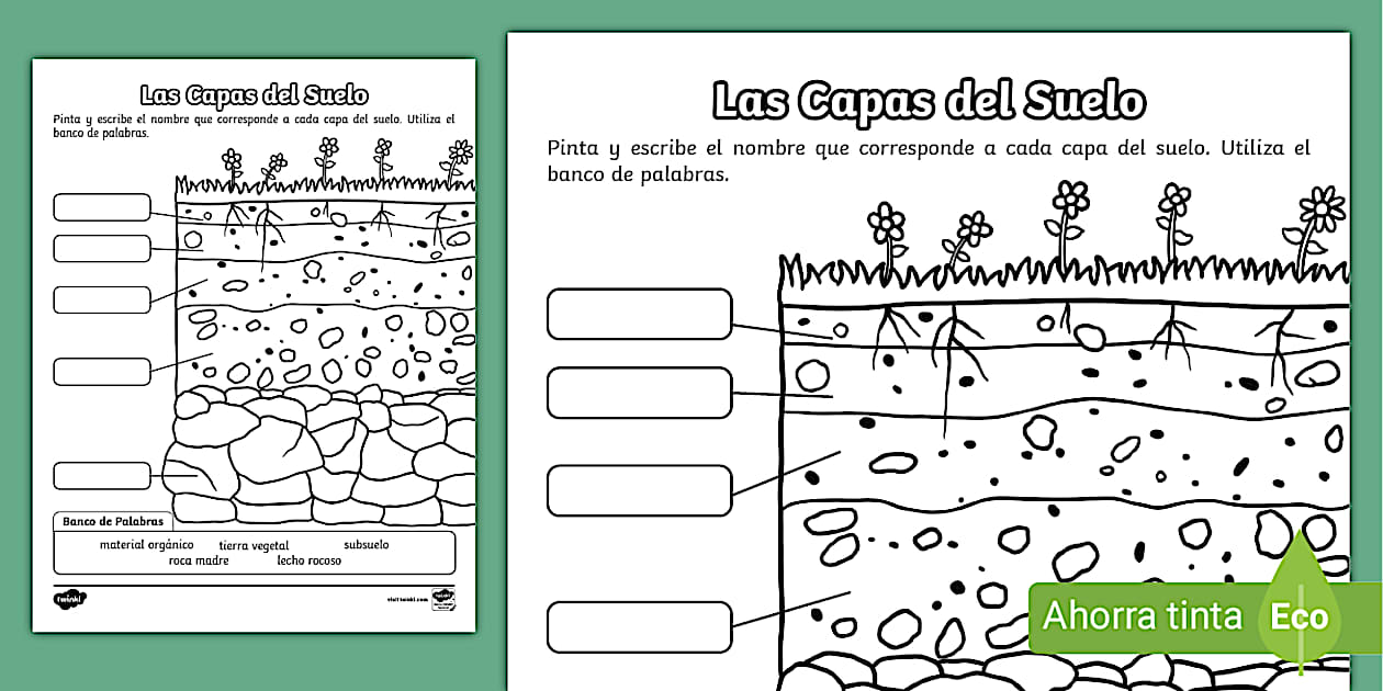 Guía de Trabajo: Identifica y Pinta las Capas del Suelo