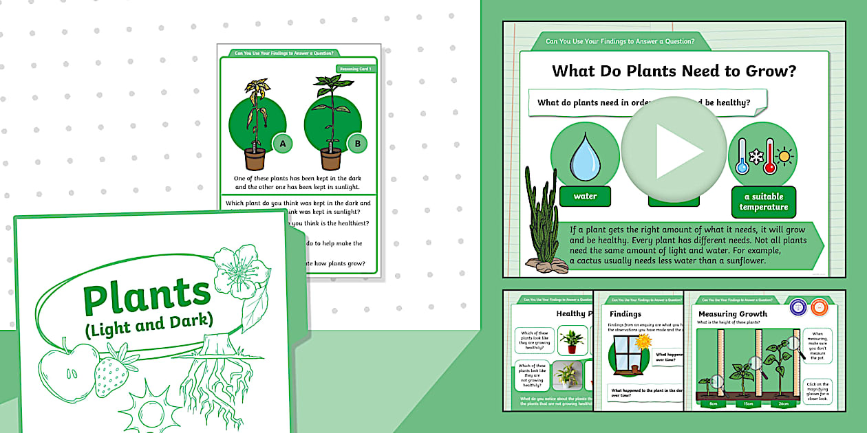 Step into Science: Y2: Spring: Block 3: Plants (Light and Dark): Step 1