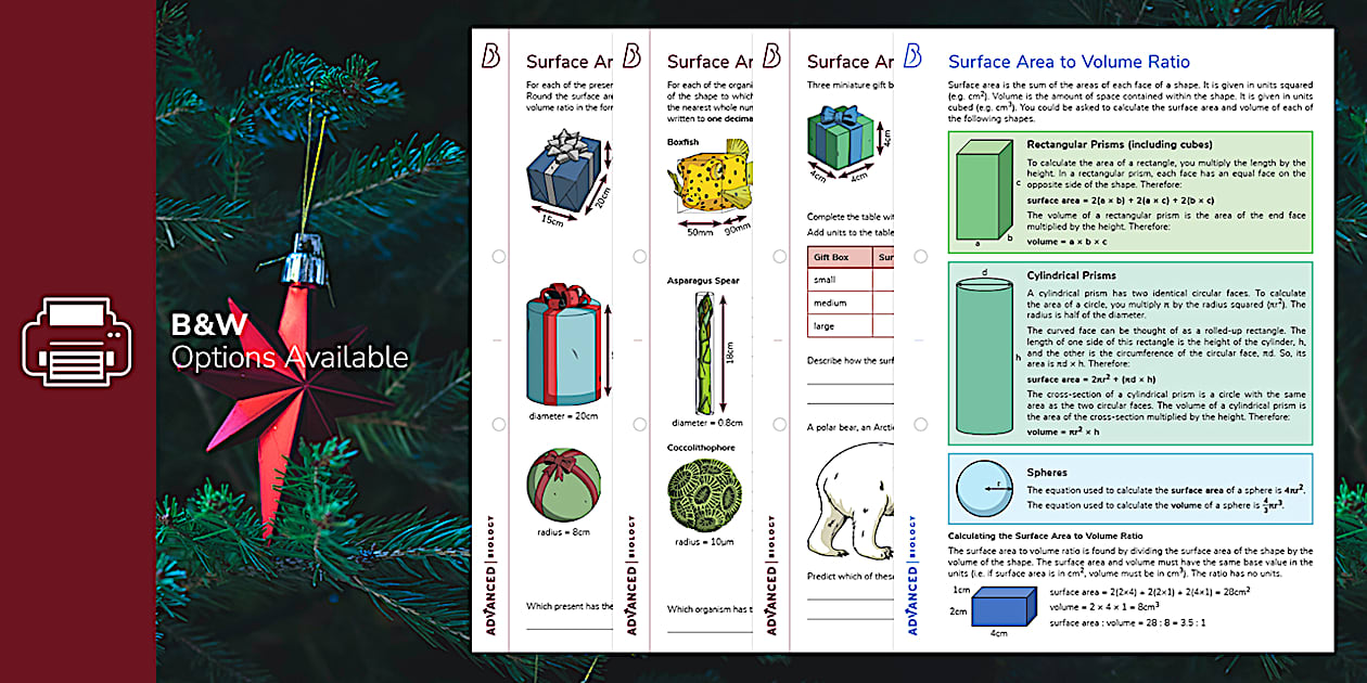 A Level Biology Maths Skills: Surface Area to Volume Ratio