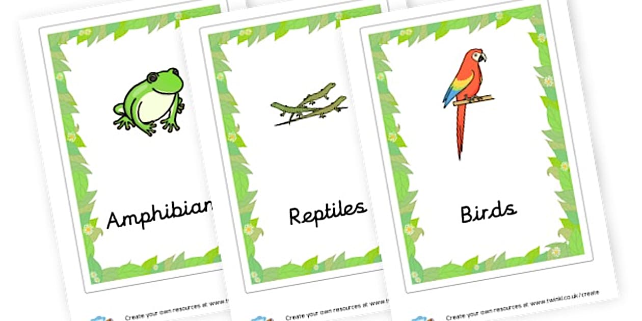 Animal Groups Cards (teacher made) - Twinkl