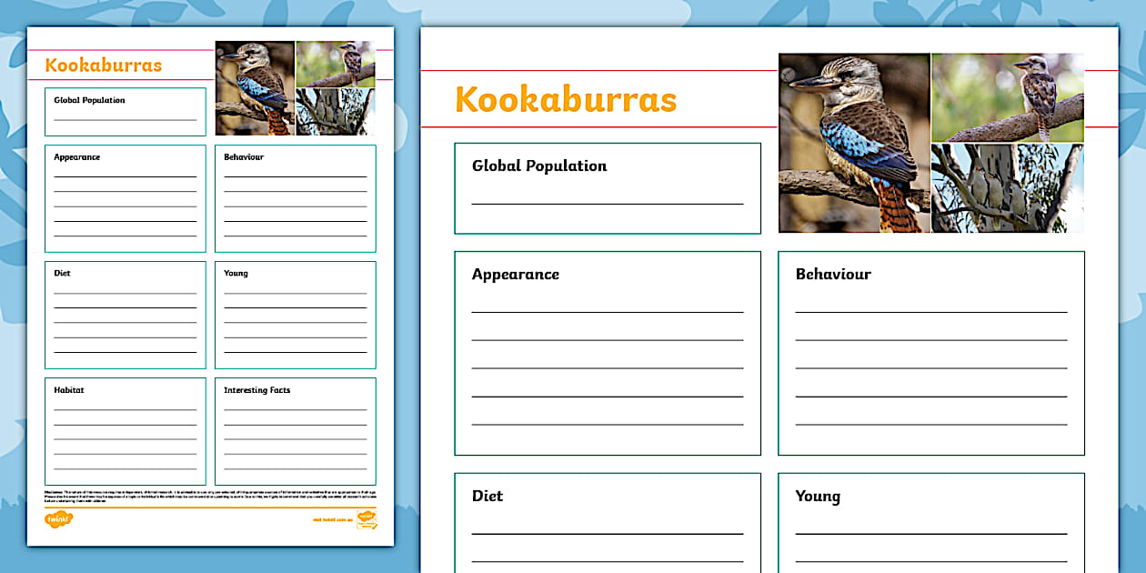 Kookaburra Fact File Template (teacher made) - Twinkl