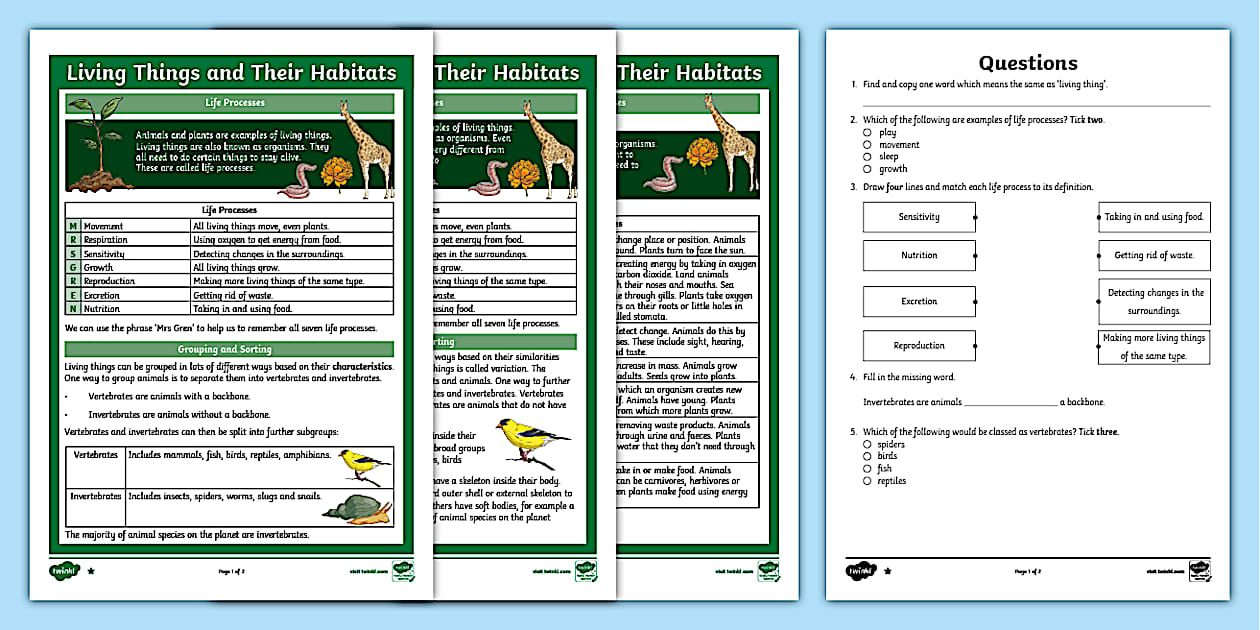 LKS2 Living Things and their Habitats Differentiated Reading Comprehension