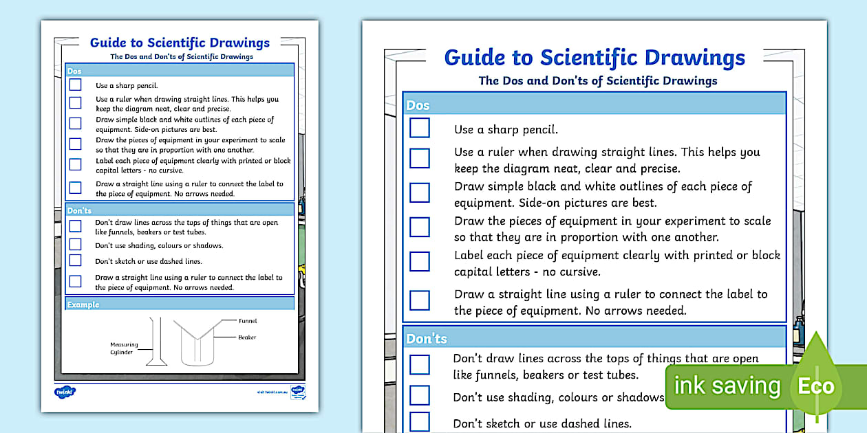 Scientific Drawing Guidelines Fact Sheet - Twinkl Science