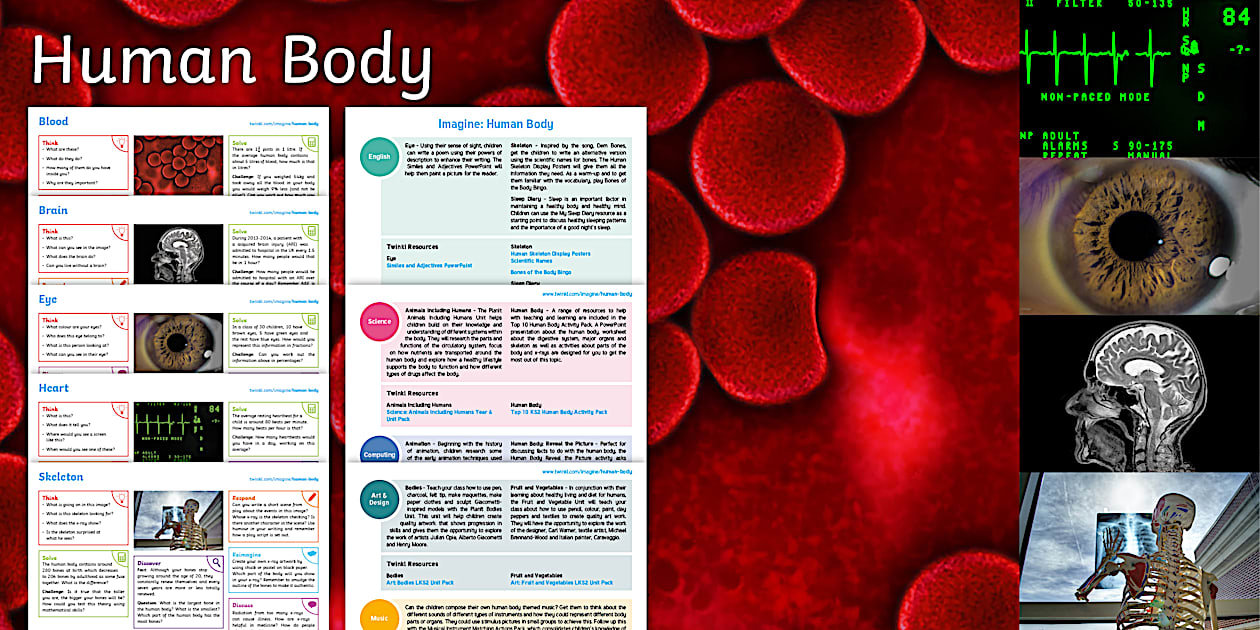 Imagine Human Body KS2 Resource Pack - Twinkl Imagine