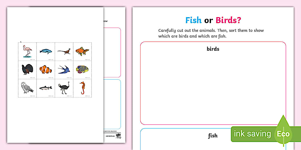 Fish or Birds Sorting Activity (teacher made) - Twinkl
