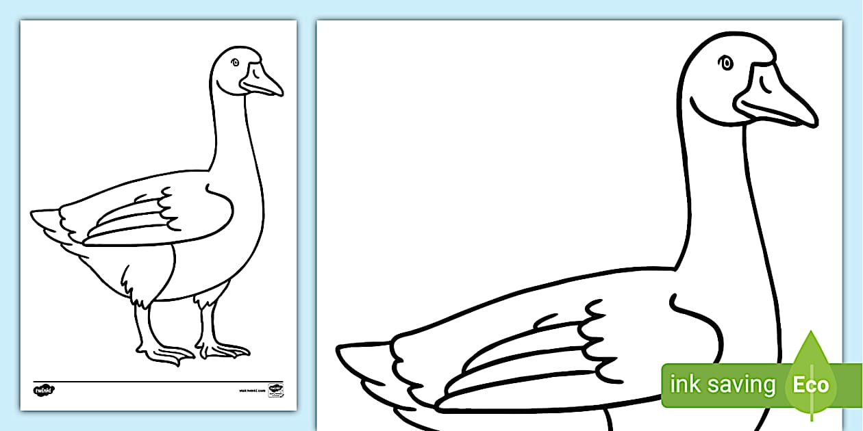 Snow Goose Colouring Page | Primary Resources | Twinkl