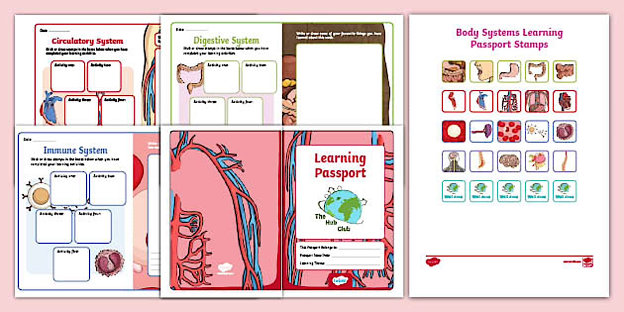 Body Systems Learning Passport (teacher made) - Twinkl