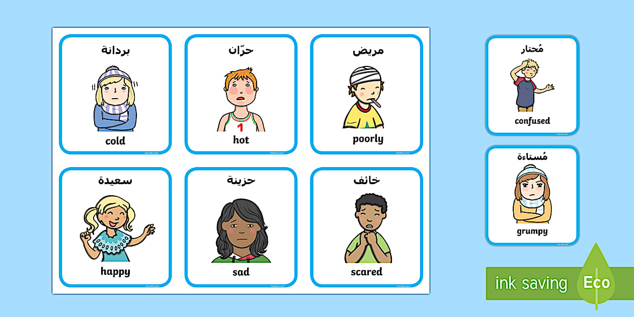 Feelings and Emotions Cards Arabic/English (teacher made)