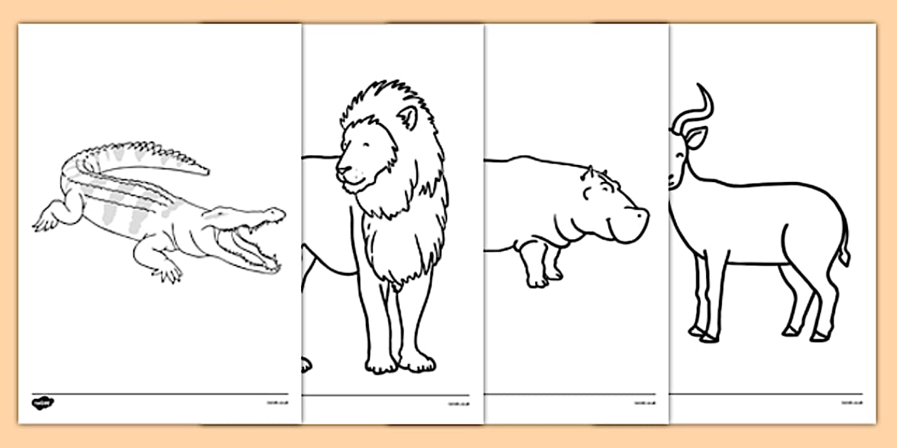 Editable Crocodile Themed Colouring Pictures - Twinkl
