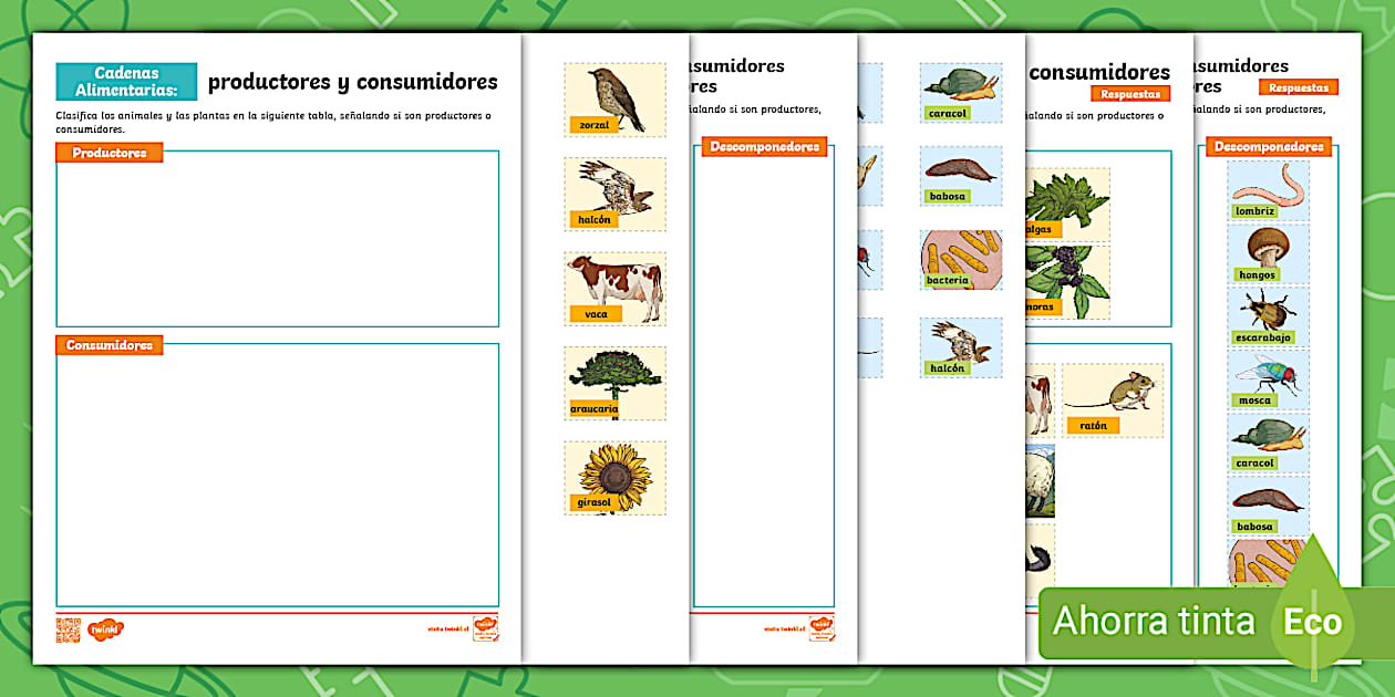 Guía de trabajo Productores, consumidores y descomponedores