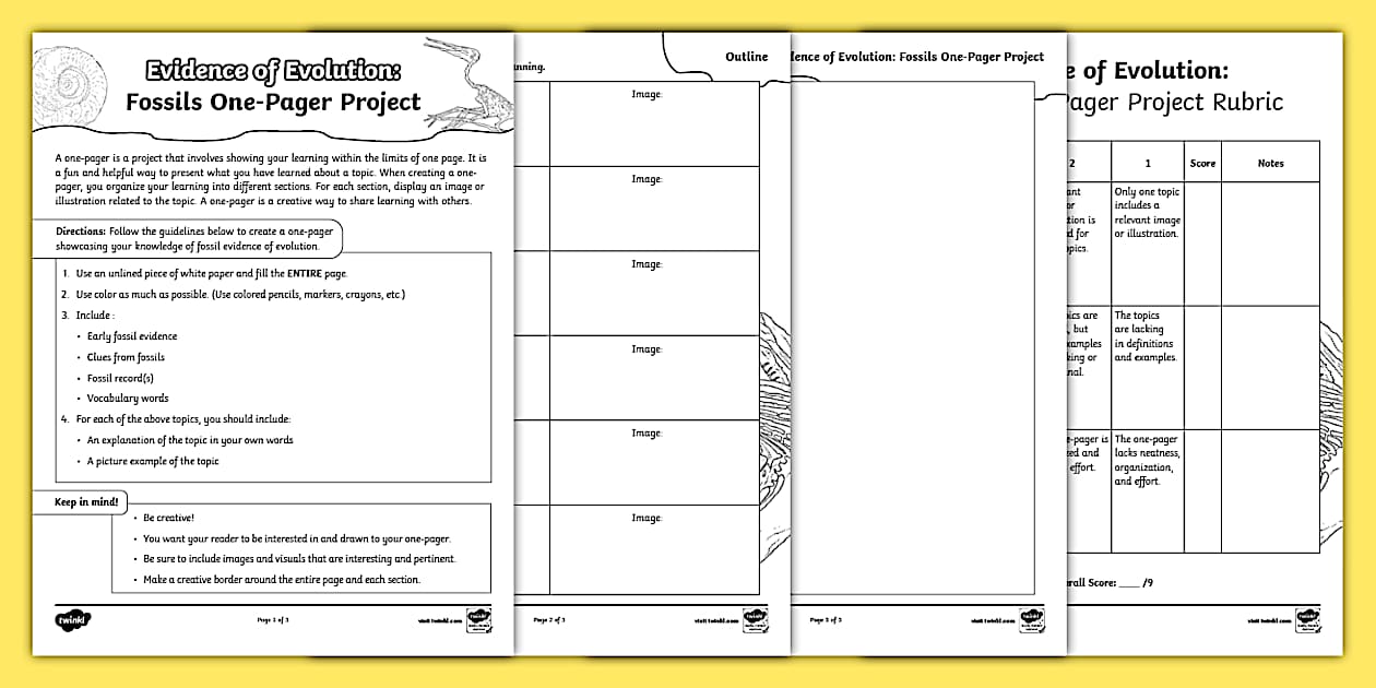 Evidence of Evolution Worksheet | Resource | Twinkl USA