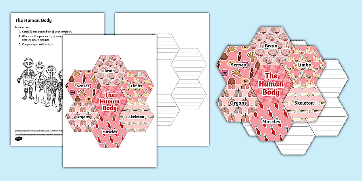 The Human Body Hexagon Writing Template (teacher made)