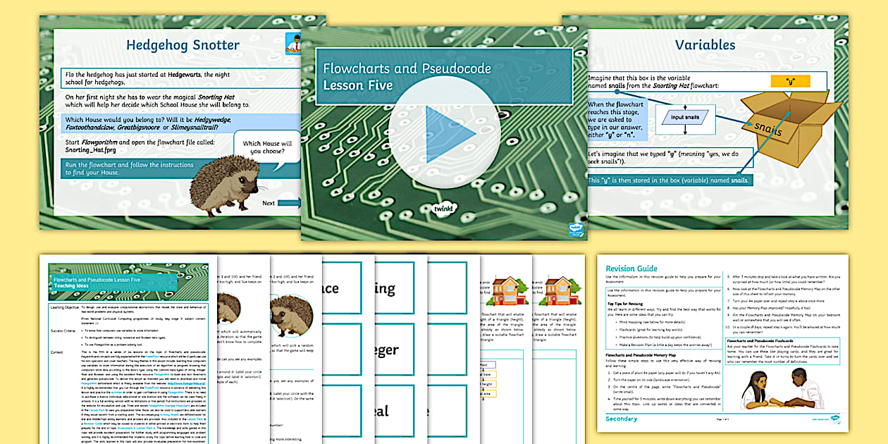 Black and White Flowcharts and Pseudocode Lesson 5 - Twinkl
