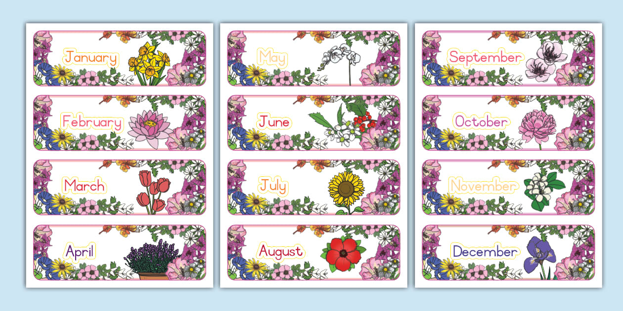 Flowers-Themed Months of the Year Cards (teacher made)