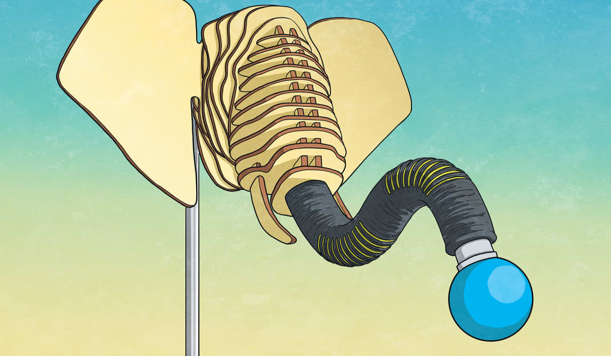 Robot Jelly Elephant - Twinkl NewsRoom - Twinkl