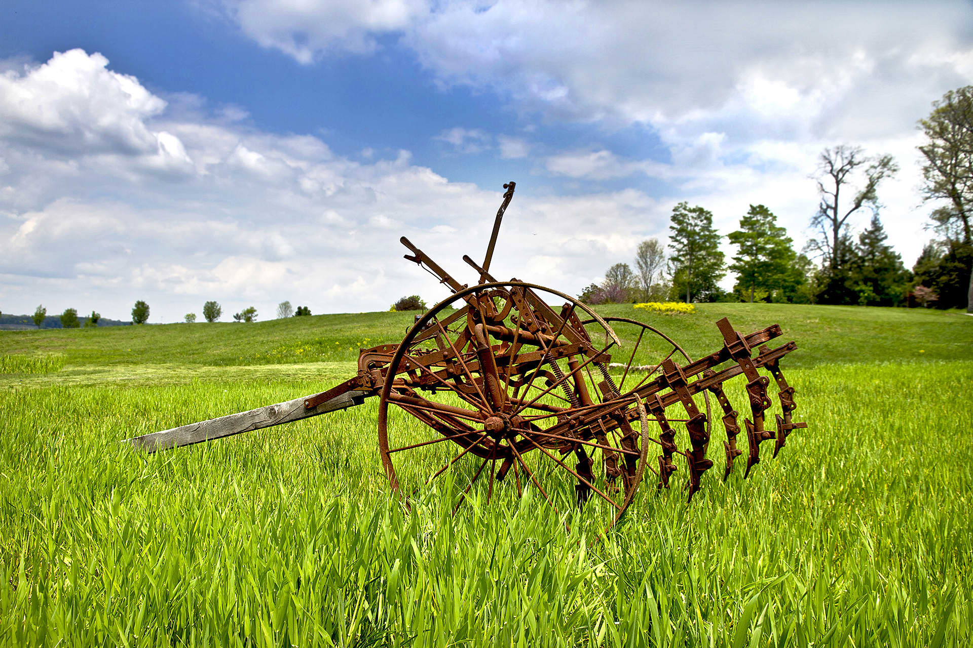 Harvest Classroom Starters & Teaching Ideas - Twinkl