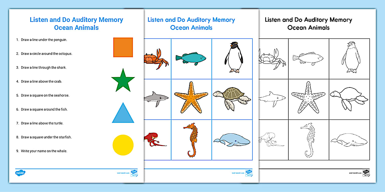 Ocean Animals Auditory Memory Game | Resource | Twinkl USA