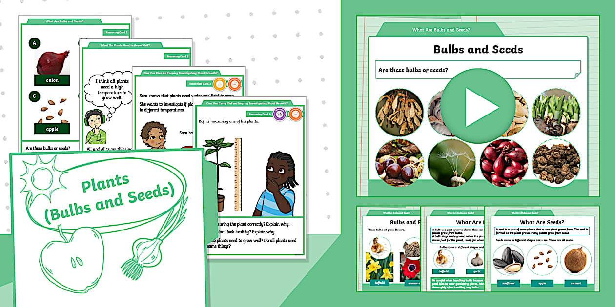 Stepping into Science: Y2: Plants (Bulbs and Seeds A) Steps 1 to 4