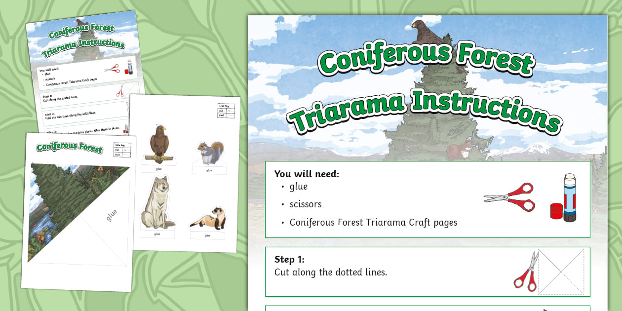 Coniferous Forest Triarama Craft (teacher made) - Twinkl