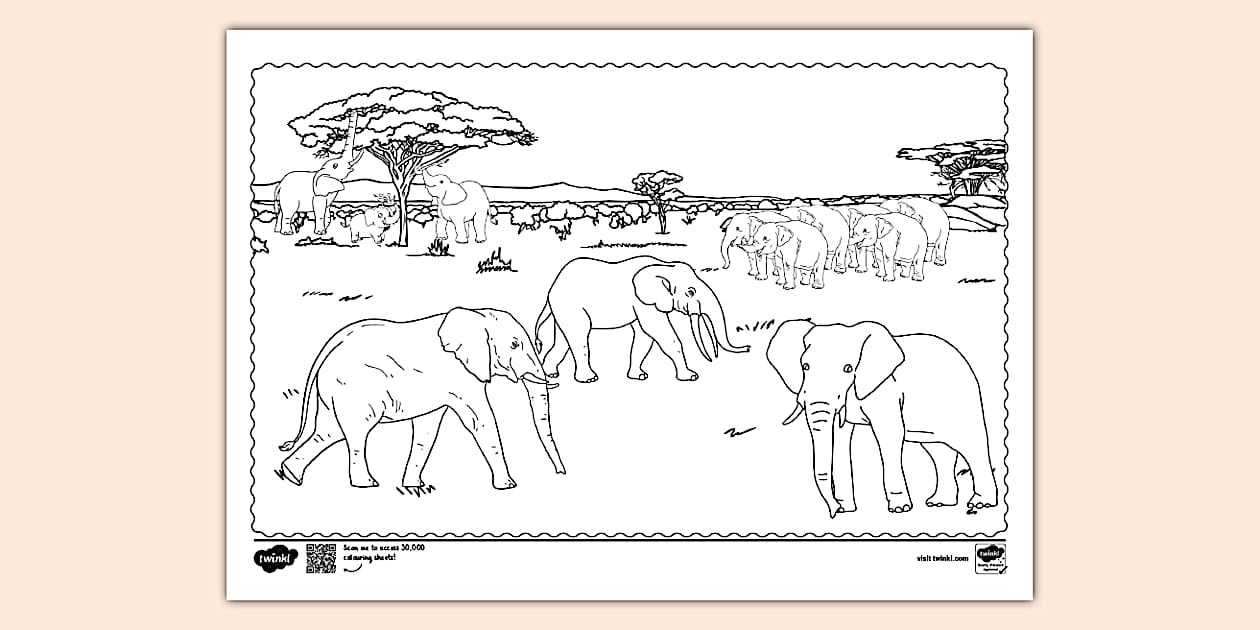 Elephant Colouring Page (teacher made) - Twinkl