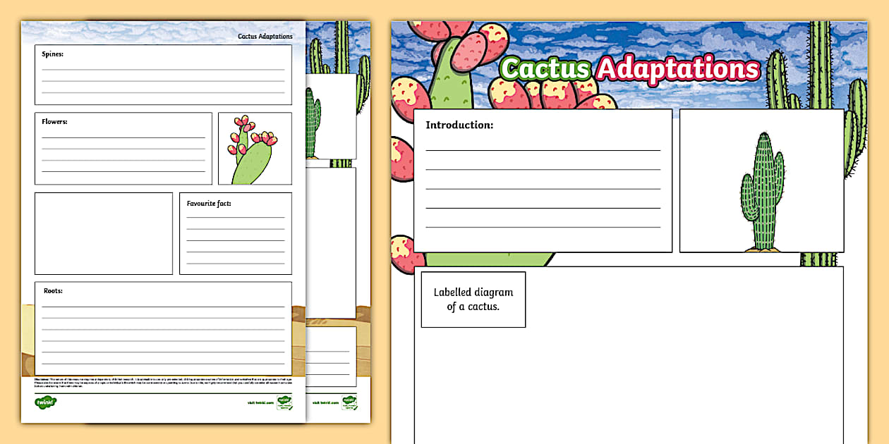 Cactus Adaptations Non-Chronological Report Template