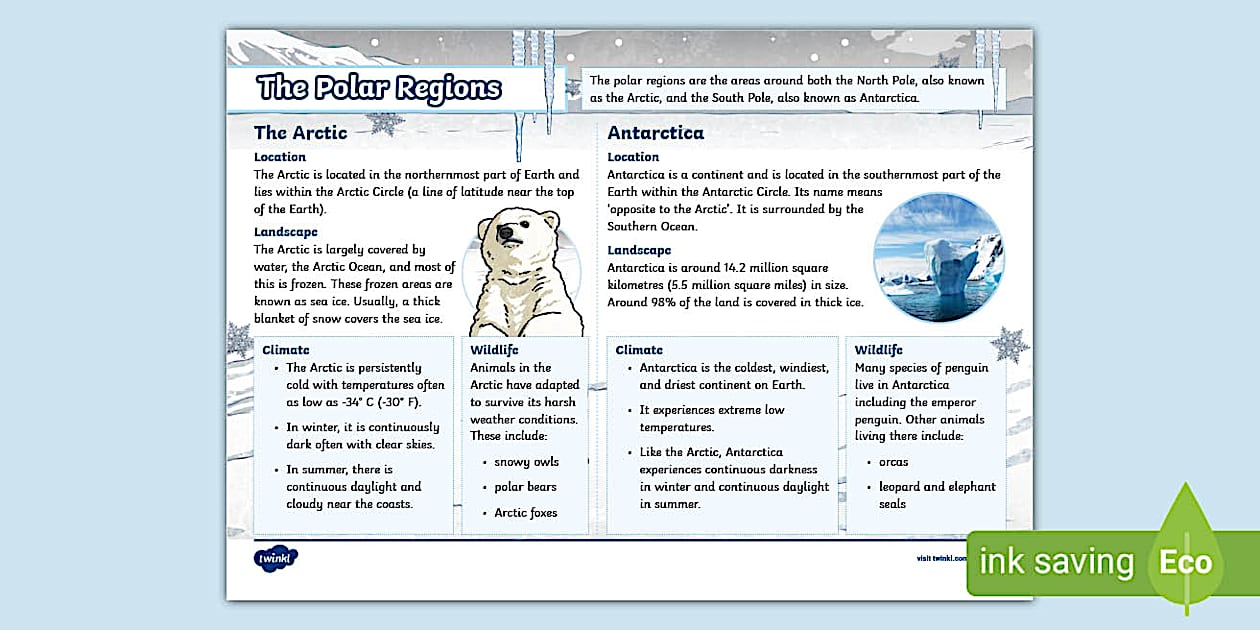 KS2 Polar Regions Fact File - Polar Regions (teacher made)