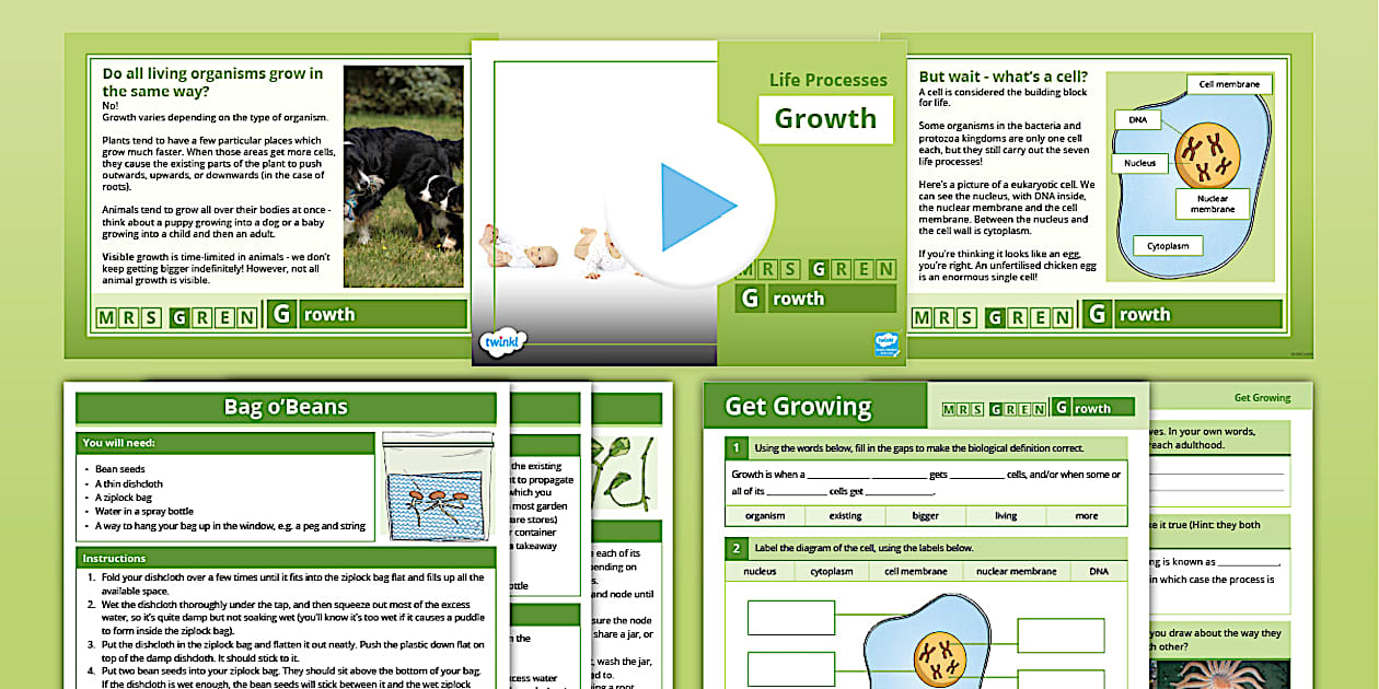 Year 5-8 Life Processes Pack - Growth (teacher made)