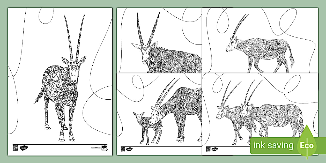 The Arabian Oryx of Qatar Mindful Colouring Pages - Twinkl