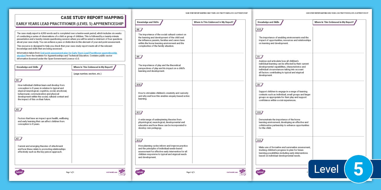 Case Study Report Mapping - Early Years Lead Practitioner