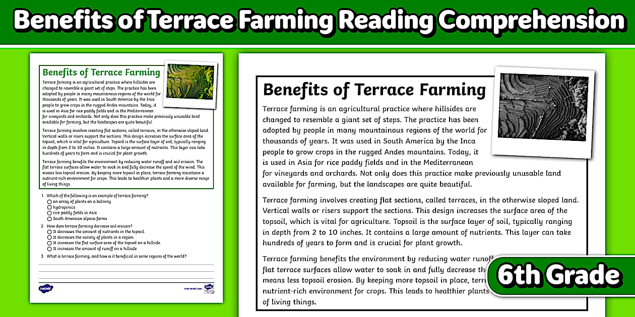 Sixth GradeTerrace Farming Reading Passage Comprehension