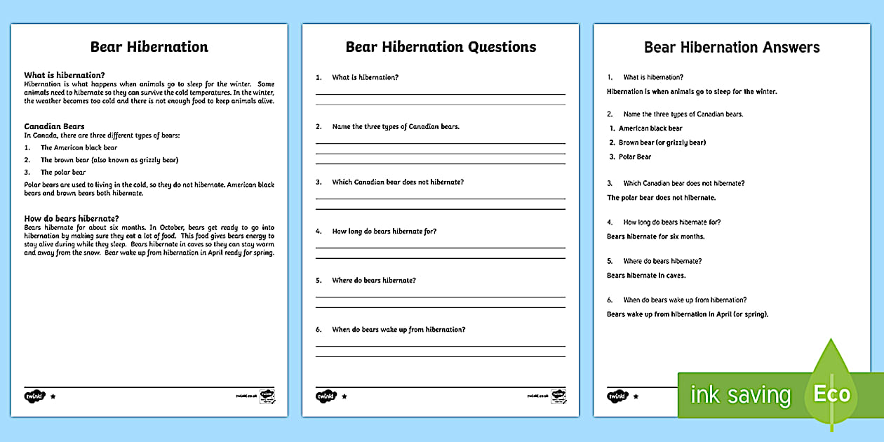 Bear Hibernation Differentiated Reading Comprehension Activity