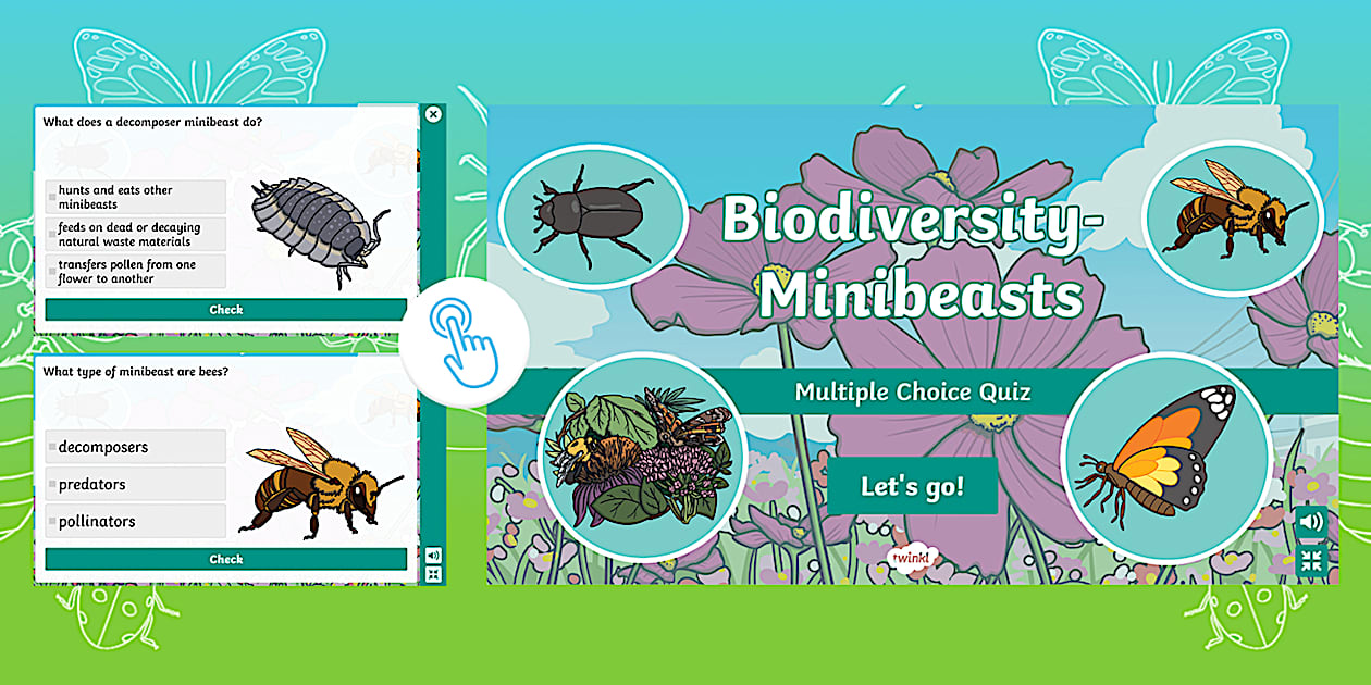 Retrieval Practice: Science: Biodiversity Quiz | Twinkl KS1