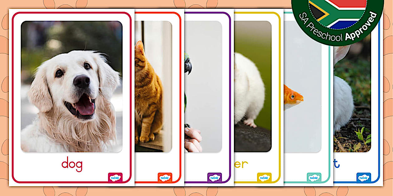 Pets: Display Photos (teacher made) - Twinkl