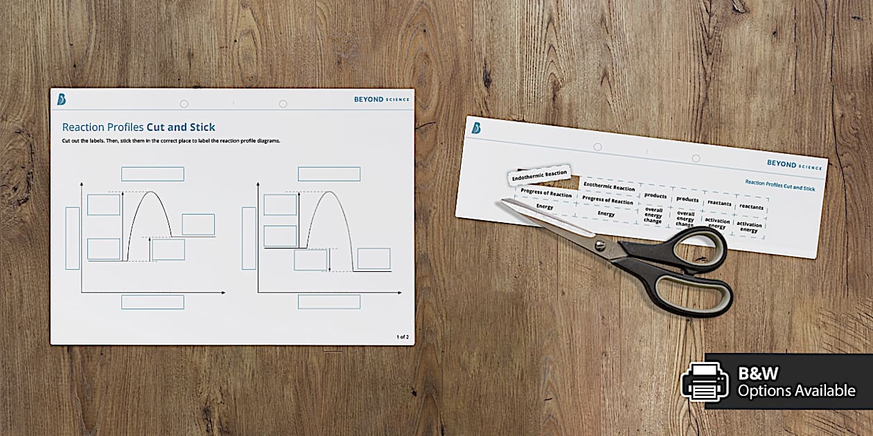 Reaction Profiles Cut and Stick | Science | Beyond - Twinkl
