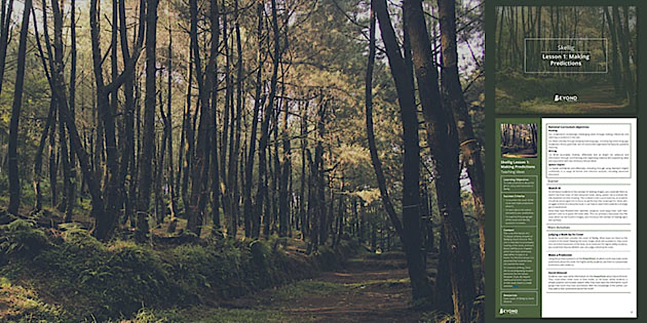 Skellig Guided Reading Resources - Lesson 1 | KS3 English