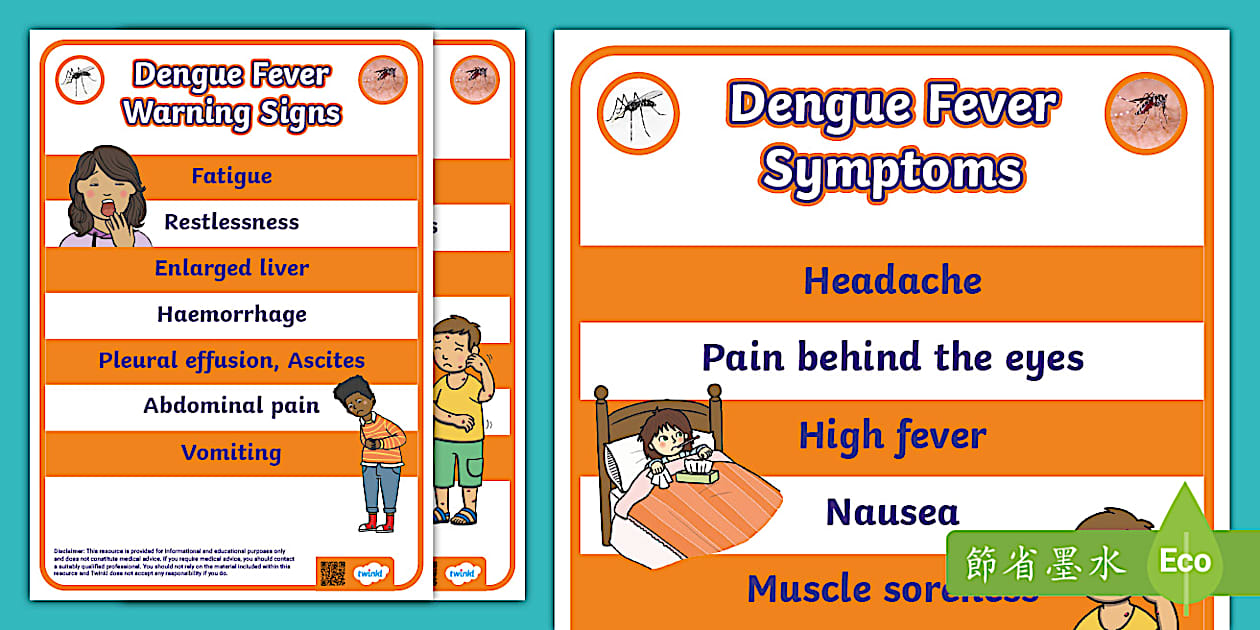 Dengue Fever Symptoms Display Poster