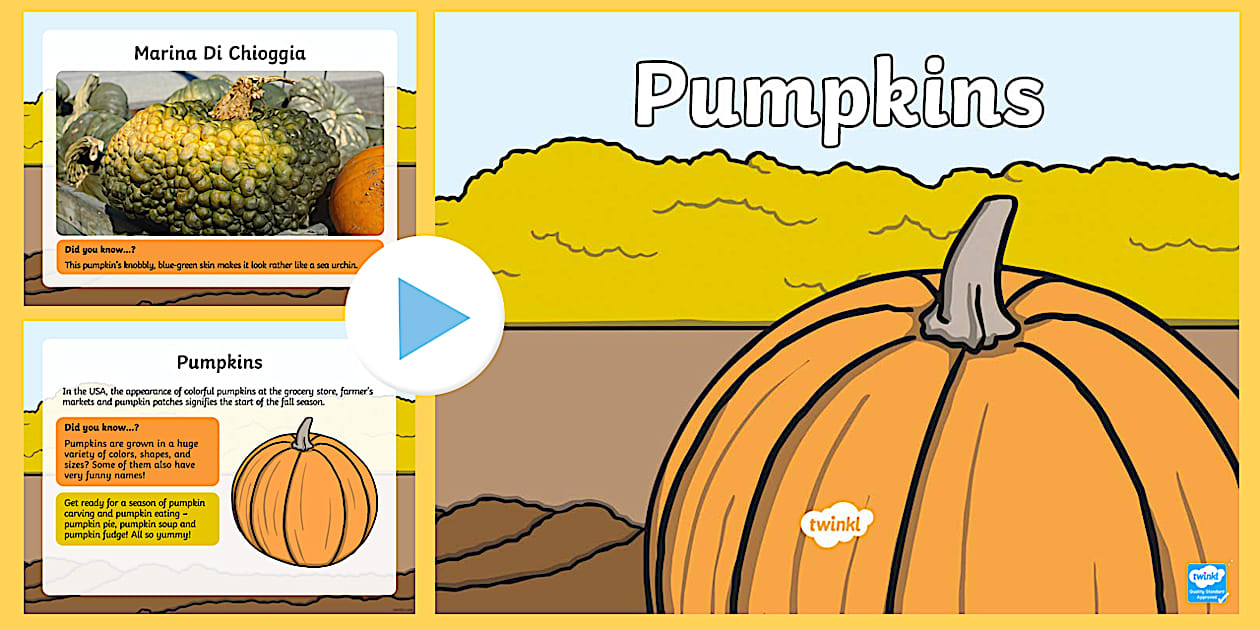 Pumpkins PowerPoint (Teacher-Made) - Twinkl