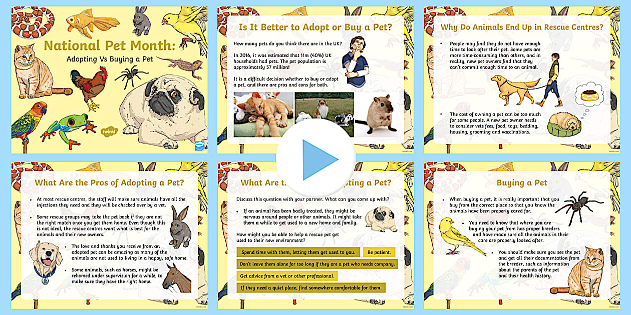 KS2 National Pet Month: Adopting Vs Buying A Pet PowerPoint