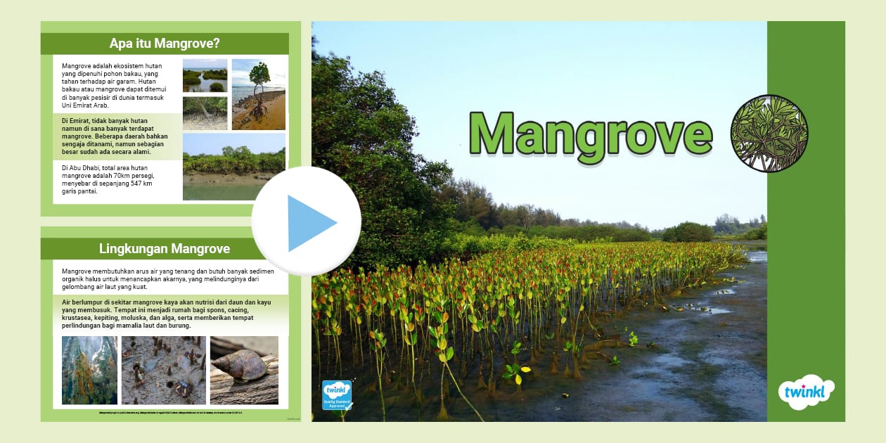 PowerPoint Hutan Bakau (teacher made) - Twinkl
