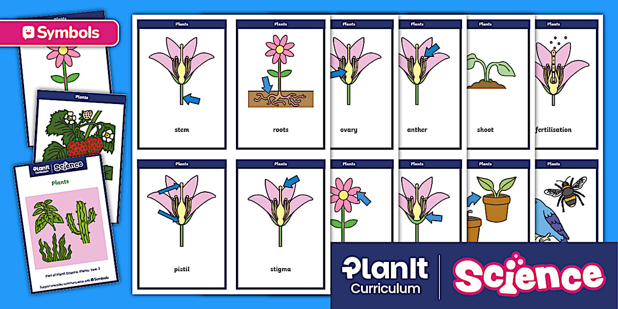 Twinkl Symbols: PlanIt Science: Plants: Year 3: Flashcards