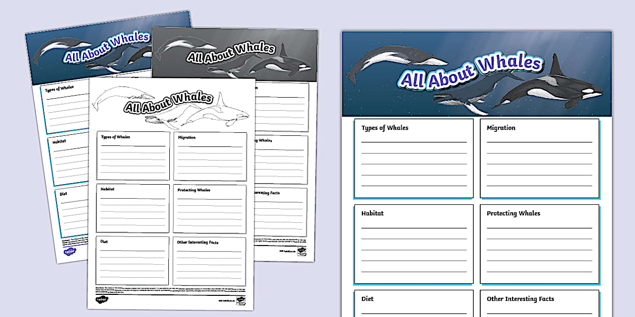 All About Whales Fact File Template (teacher made) - Twinkl