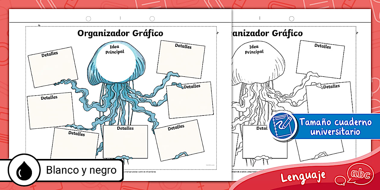 Organizador Gráfico | Ideas Principales | Lenguaje y Comunicación | Chile