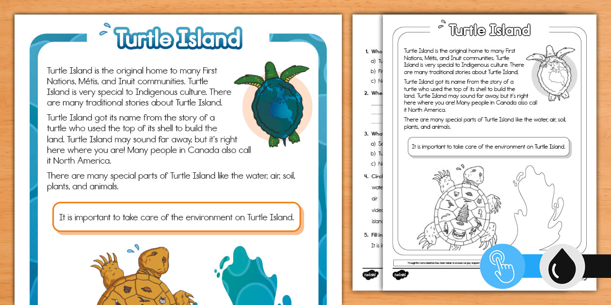 Turtle Island Primary Reading Comprehension (teacher made)
