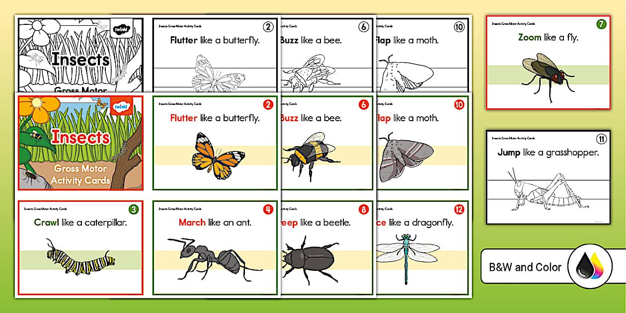 Insects and Bugs Gross Motor Activity Cards (teacher made)