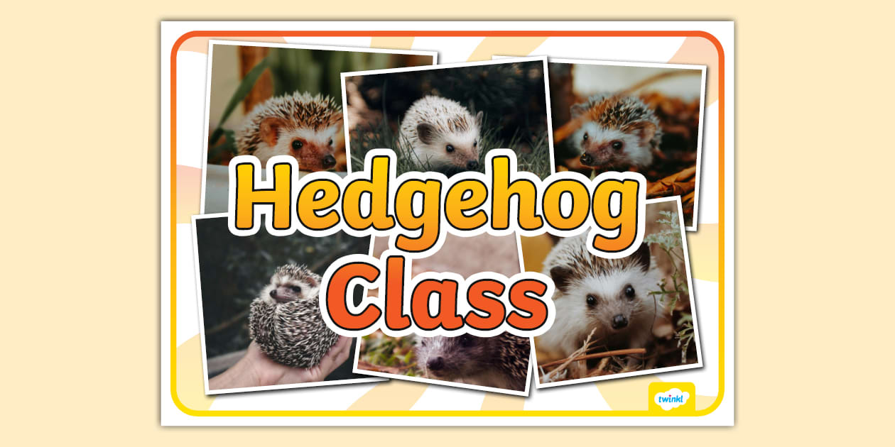 Hedgehog Class Photo Display Poster (Teacher-Made) - Twinkl