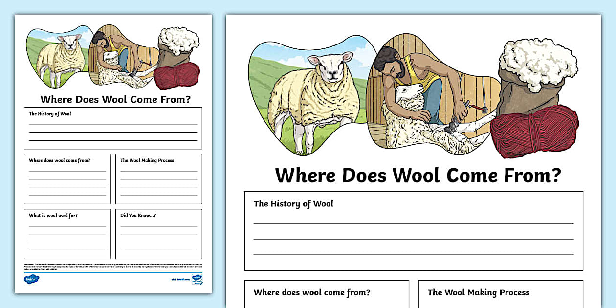 Where Does Wool Come From? Fact File Template (Teacher-Made)